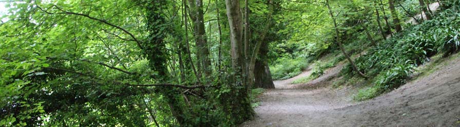 Then turn that decision to be truthful into an ingrained habit, so it ...